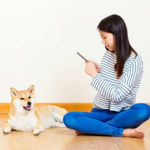 Pet Apps: Top 10 Apps for Dog Lovers