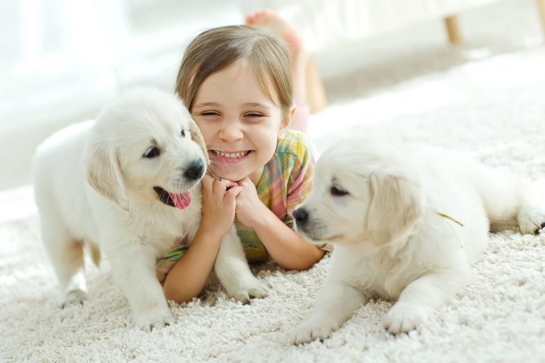 Kids & Dogs: Teaching kids about respect & safe interactions