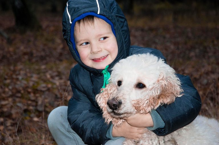 Kids & Dogs: Teaching kids about respect & safe interactions