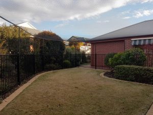 Best outdoor runs and enclosures for cats | Keeping Cats Happy & Safe
