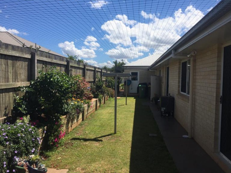 Best outdoor runs and enclosures for cats | Keeping Cats Happy & Safe