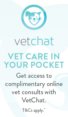 Top 10 Popular Medium-sized Dogs In Australia