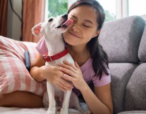 Why Does My Dog Lick Me? Understanding Canine Affection