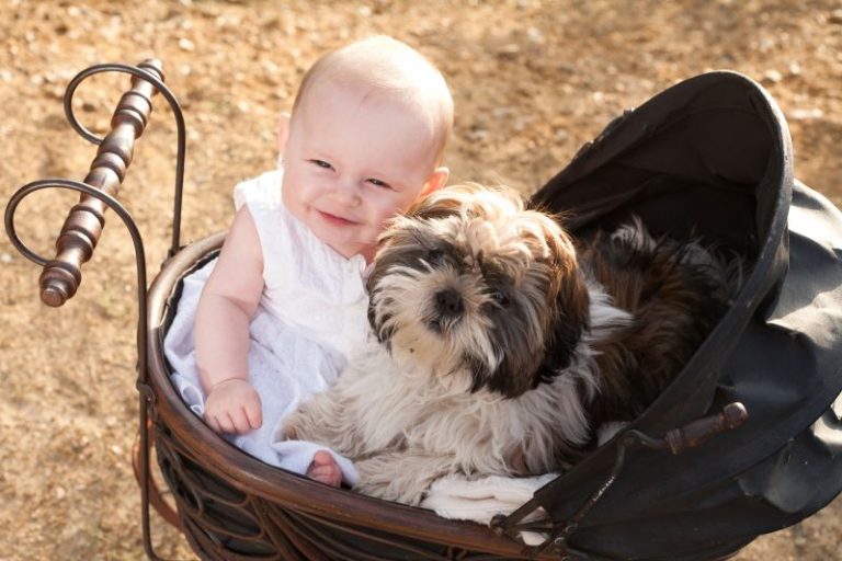 Is your pet your Fur Baby? Why we love our pets so much