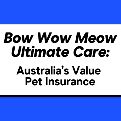 Bow Wow Meow crowned Best Value in Finder’s Pet Insurance Awards