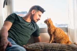 Why does my cat keep meowing? How to understand & stop it